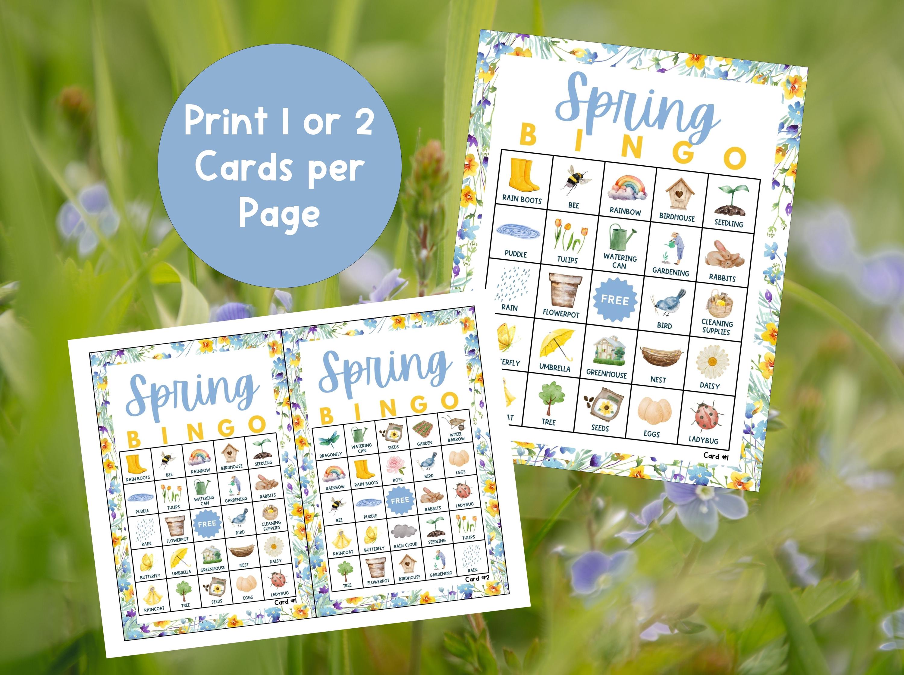 Spring Bingo, Printable Spring Bingo, Spring Bingo Printable for Kids ...