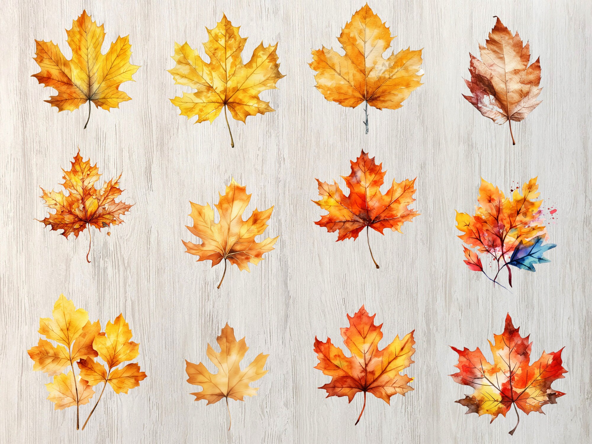 242 Autumn Leaf Clipart: Fall Leaves Digital PNG Art,autumn Leaves ...