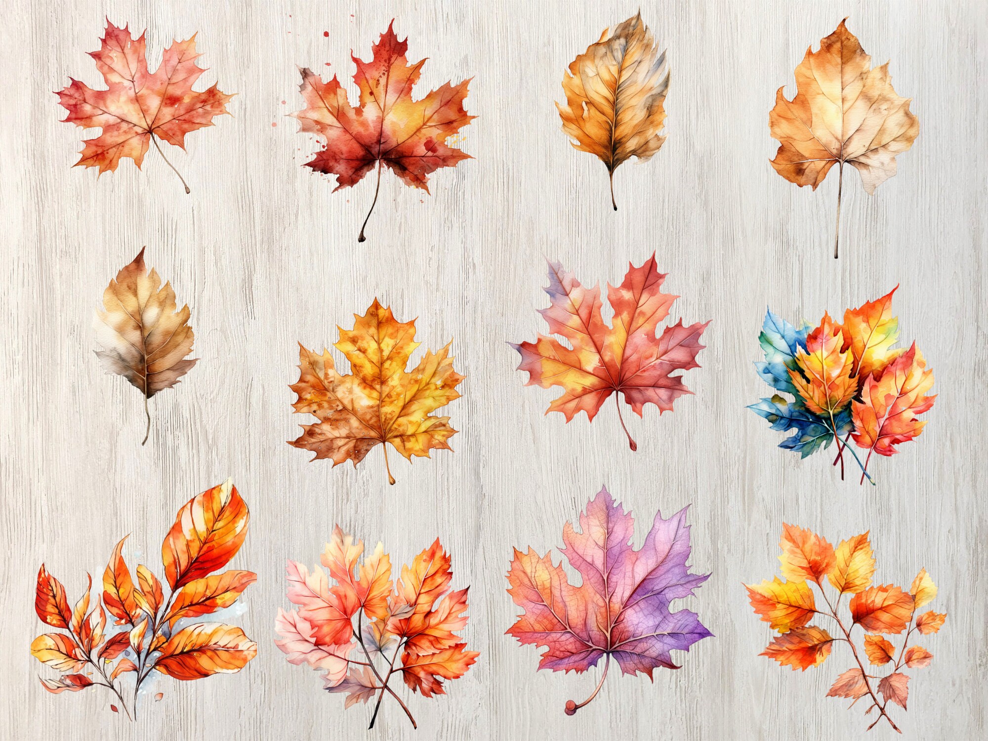 242 Autumn Leaf Clipart: Fall Leaves Digital PNG Art,autumn Leaves ...