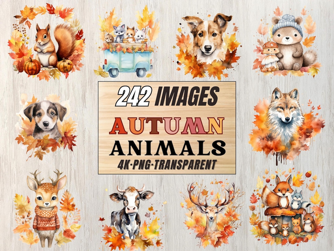 168 Autumn Animals Clipart: Cute Animals Watercolor PNG Cute - Etsy