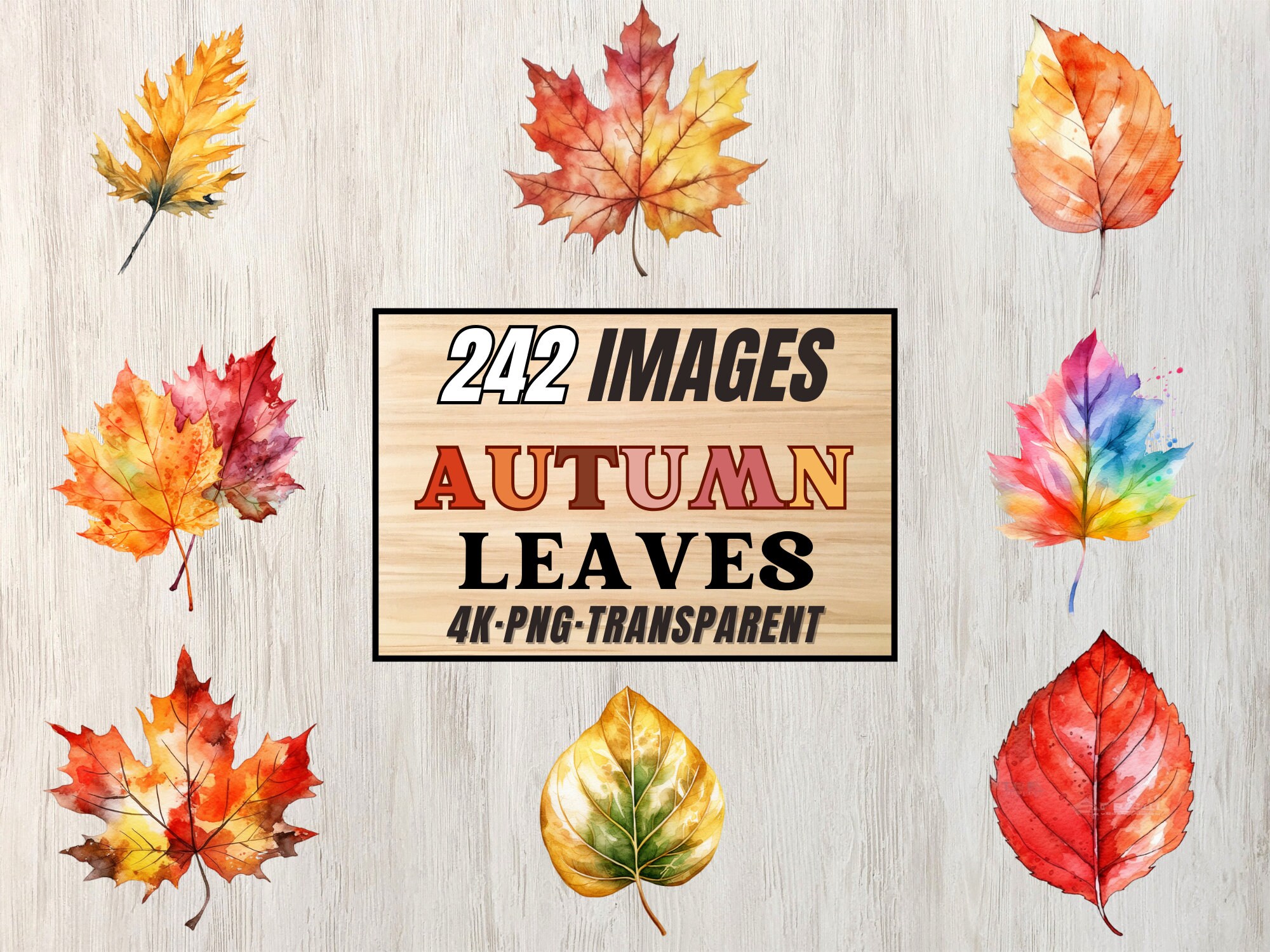 242 Autumn Leaf Clipart: Fall Leaves Digital PNG Art,autumn Leaves ...