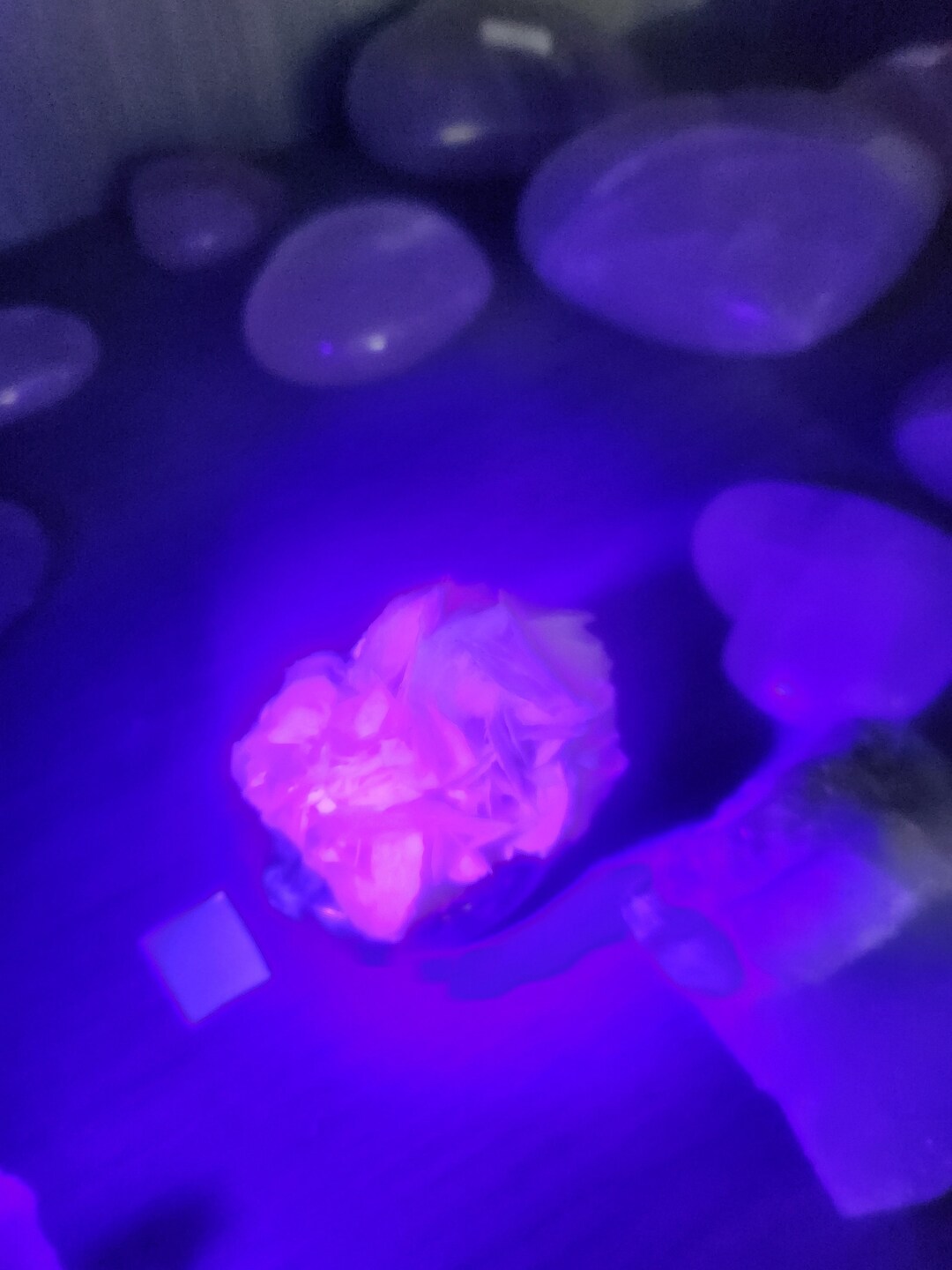 UV Reactive Rose Calcite With Quartz Glowing Crystal Specimen Pink and ...