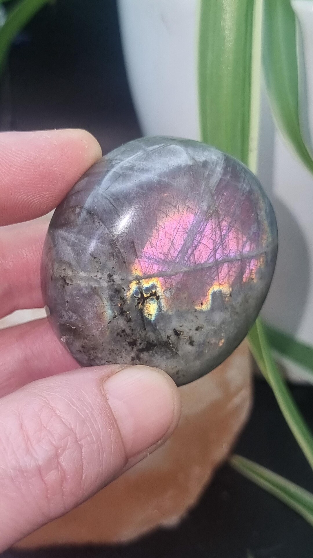 Labradorite Palm Stone, Rainbow Colour Flash, High Quality Crystal ...