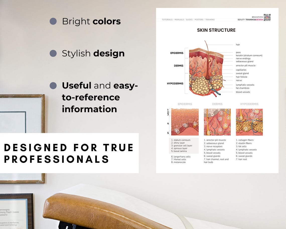 Poster Printable PDF ”skin Structure” Wall Decor Skincare Skin Anatomy ...