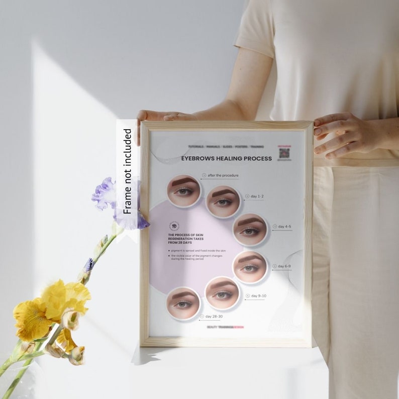 Eyebrows Healing Process Poster 12x16 30cm X 40cm - Etsy