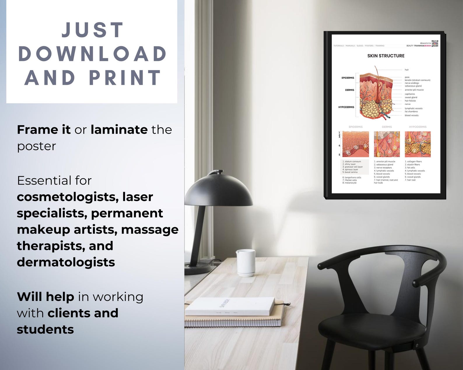 Poster Printable PDF ”skin Structure” Wall Decor Skincare Skin Anatomy ...