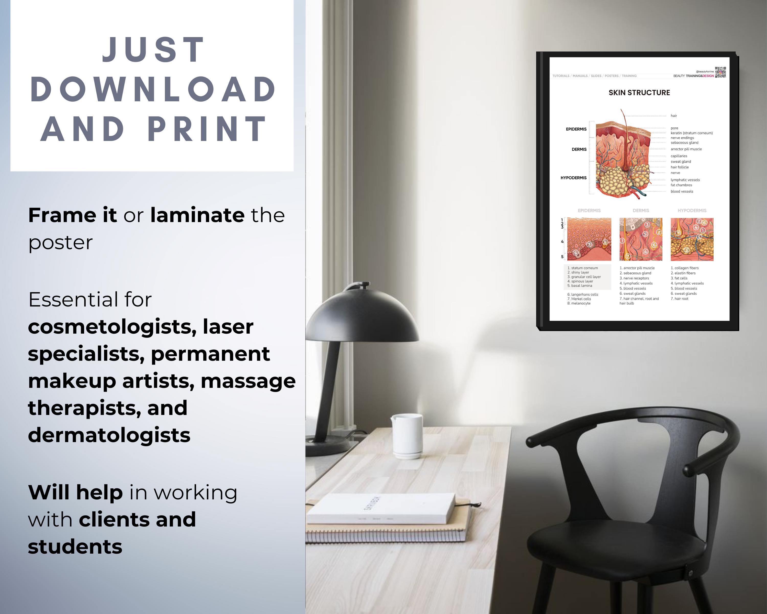 Poster Printable PDF ”skin Structure” Wall Decor Skincare Skin Anatomy ...