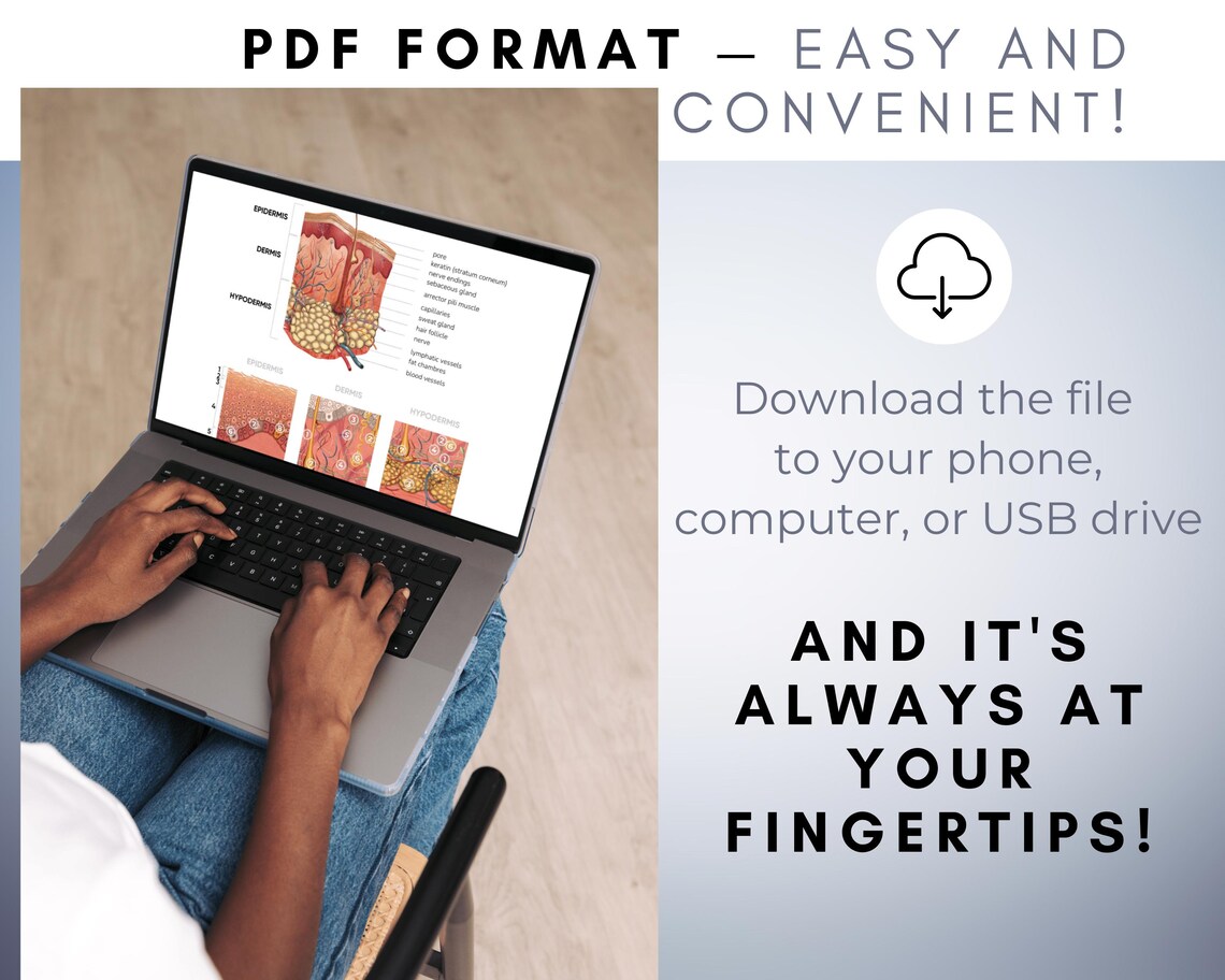 Poster Printable PDF ”skin Structure” Wall Decor Skincare Skin Anatomy ...