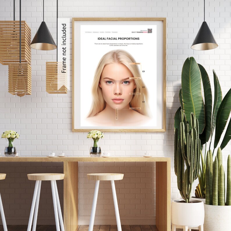 Ideal Facial Proportions Poster 12x16 30cm X 40cm - Etsy