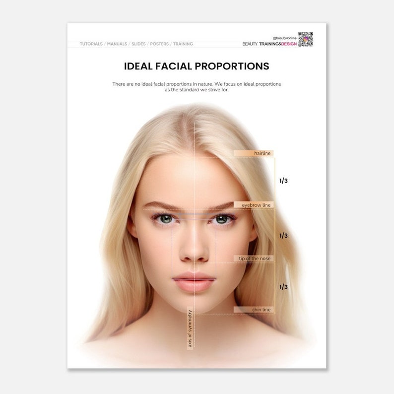 Ideal Facial Proportions Poster 12x16 30cm X 40cm - Etsy