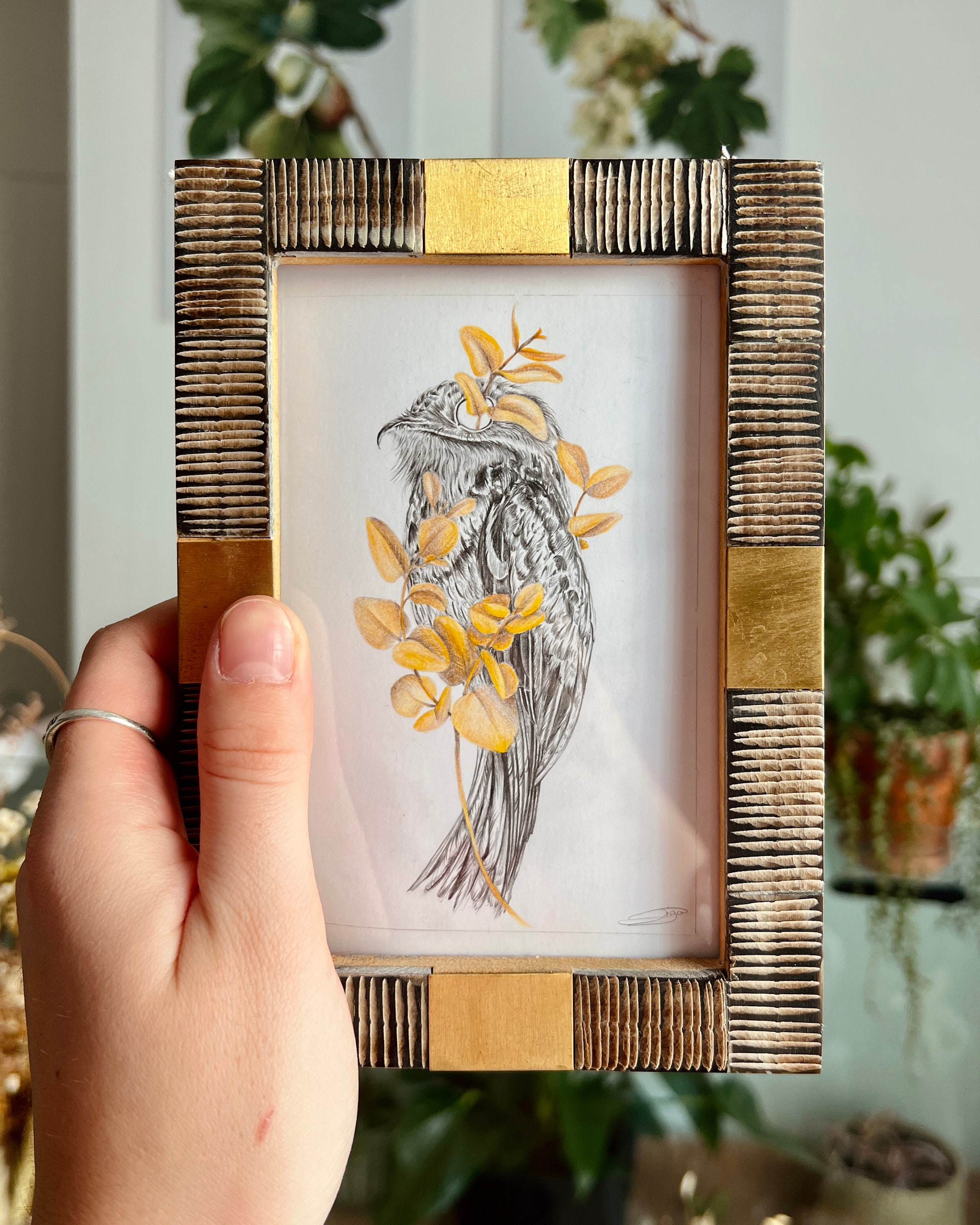 Ghost Bird - Original Drawing - Etsy