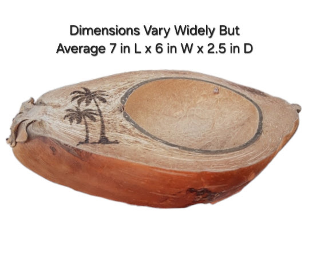 Coconut Half Shell Planters for Gardening, Flower Arrangements, and Home Decor - Etsy