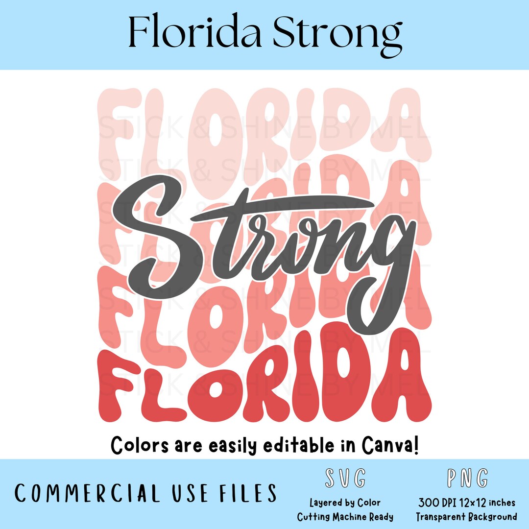 Florida Strong Retro SVG & PNG Files, I Survived Milton T-shirt ...