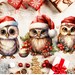 15 Owl Christmas Clipart,chrismas Clipart,owl Clipart,owl Png ...