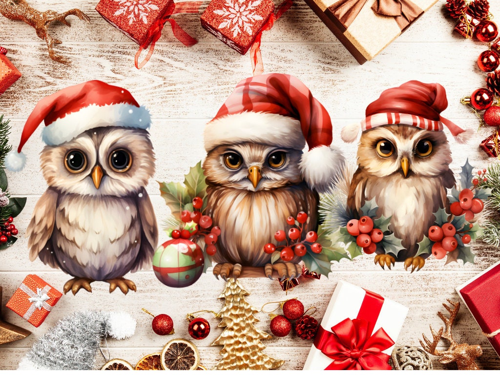 15 Owl Christmas Clipart,chrismas Clipart,owl Clipart,owl Png ...