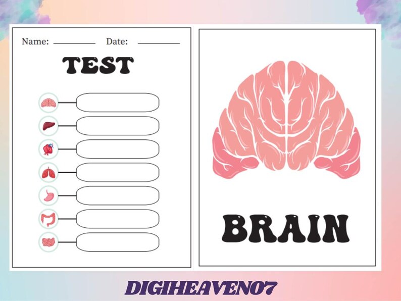 Human Coloring for Kids,homeschool Activity,kids Activity,preschool ...