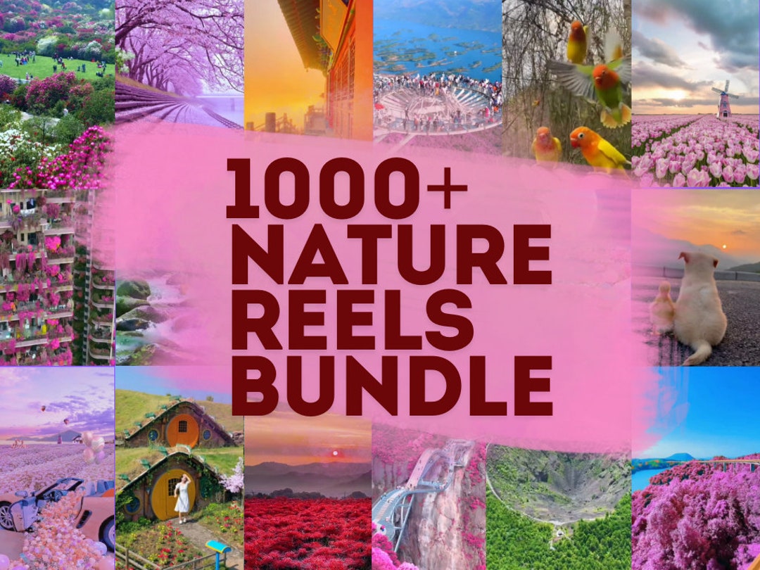 1000+ Nature Reels Bundle,instagram Reels,reel Videos,nature Reels ...