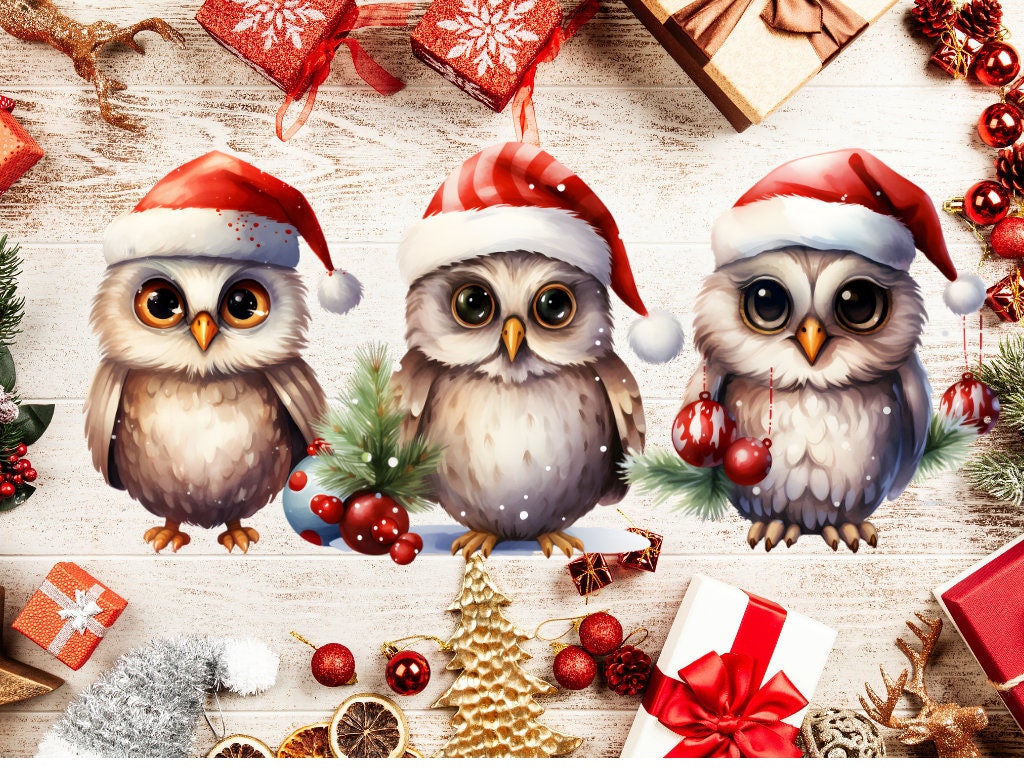 15 Owl Christmas Clipart,chrismas Clipart,owl Clipart,owl Png ...
