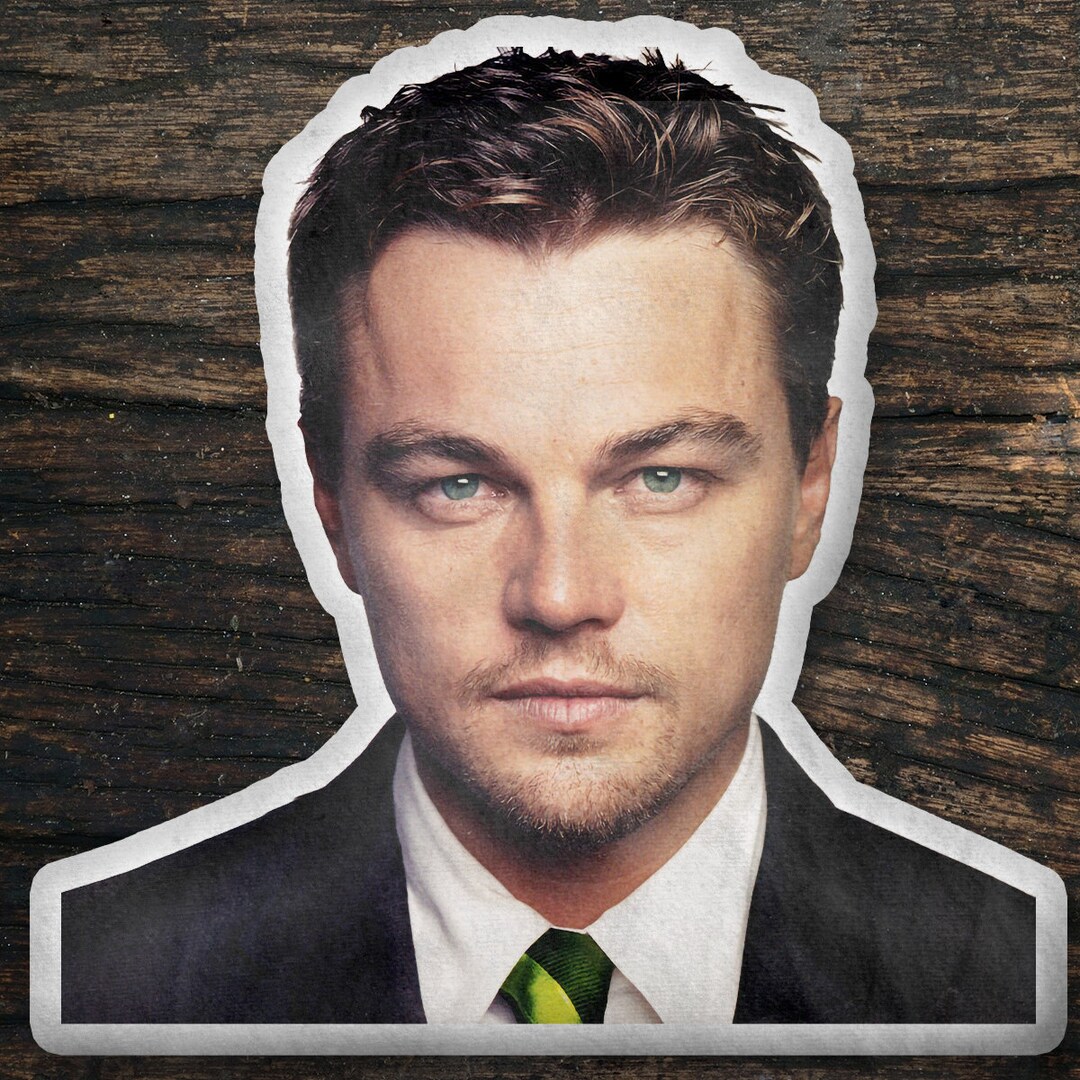 Leonardo Dicaprio Custom Shaped Pillow, Custom Shape Pillow Gift Idea ...