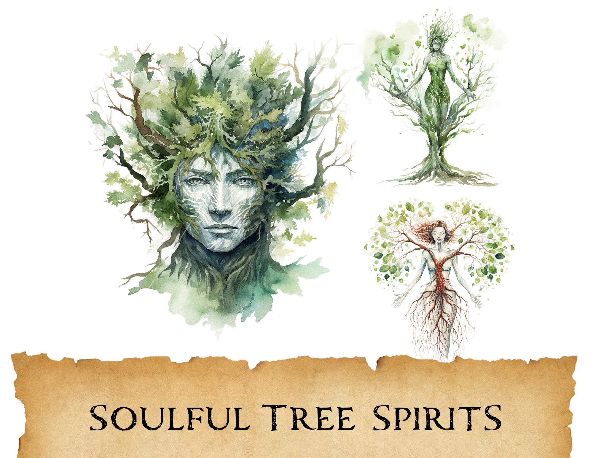16 Watercolor Tree Spirits Clipart Bundle, Dryads, Forest Fae, Wood ...