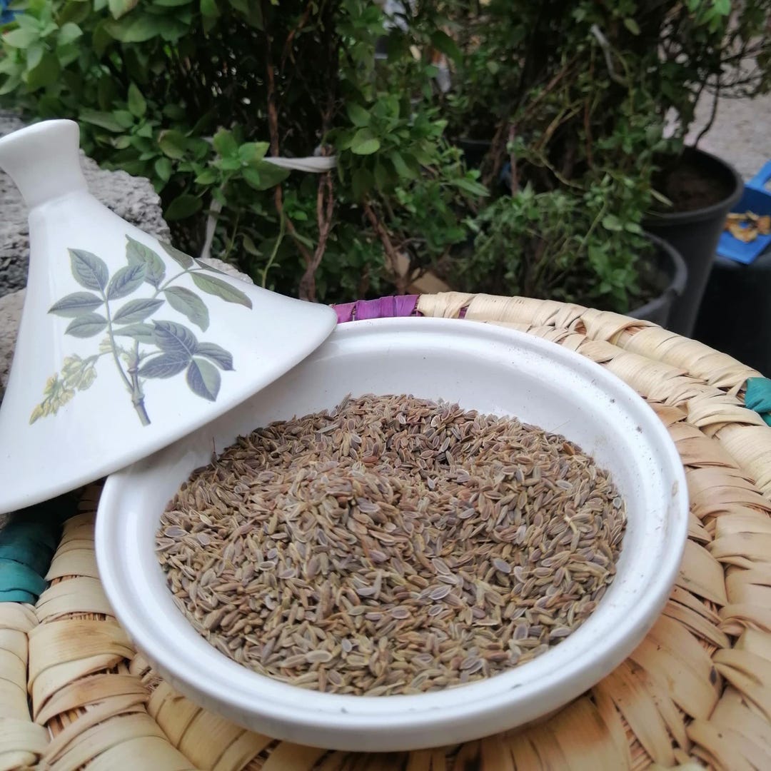 Moroccan Aniseed : Authentic Flavor and Natural Benefits - Etsy
