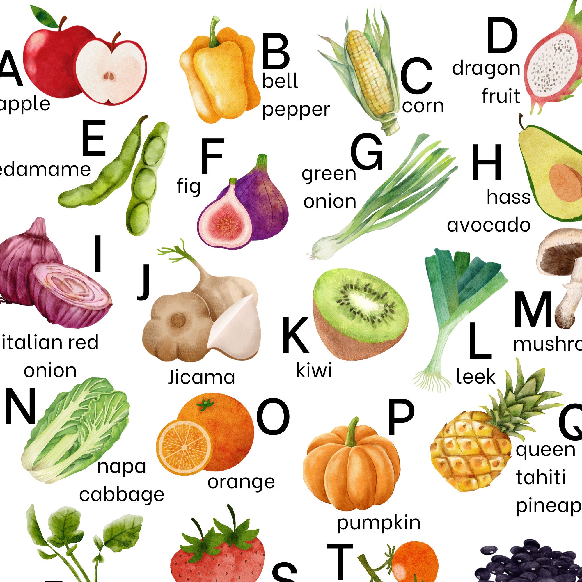 Fruit & Vegetable Educational Posters, Alphabet and Counting Print ...