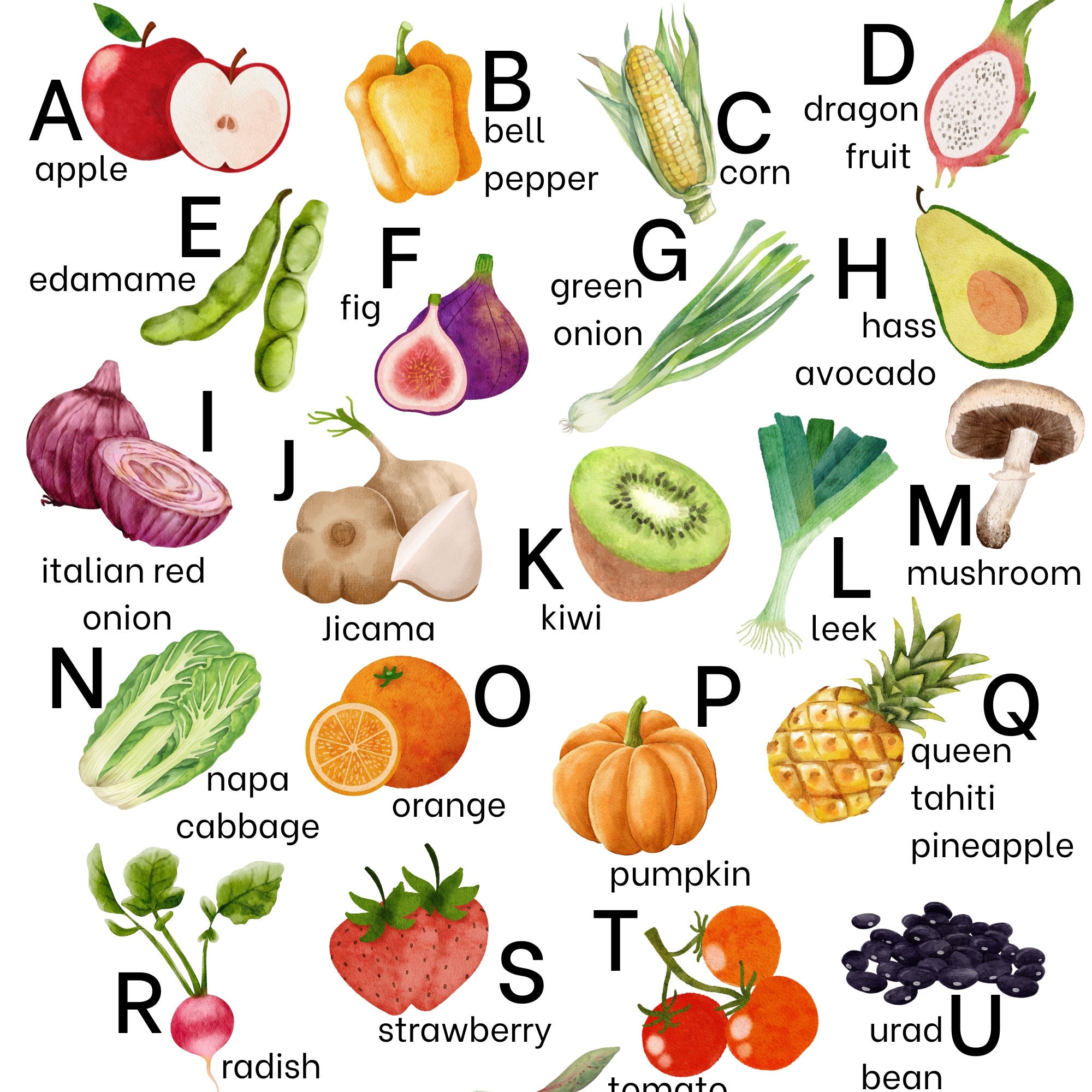 Fruit and Vegetable Educational Posters Fruit & Vegetable Alphabet ...