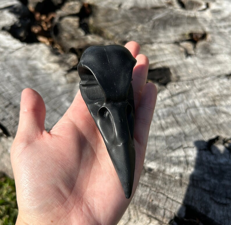 Large Obsidian Raven Skull, Halloween Crystal Carving Bird Skull ...