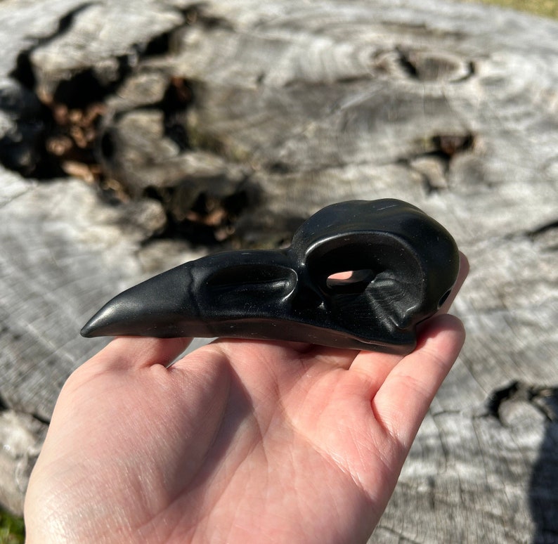 Large Obsidian Raven Skull, Halloween Crystal Carving Bird Skull ...