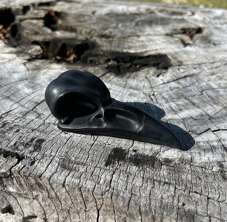 Large Obsidian Raven Skull, Halloween Crystal Carving Bird Skull ...