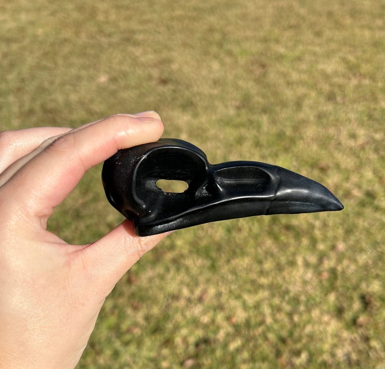 Large Obsidian Raven Skull, Halloween Crystal Carving Bird Skull ...