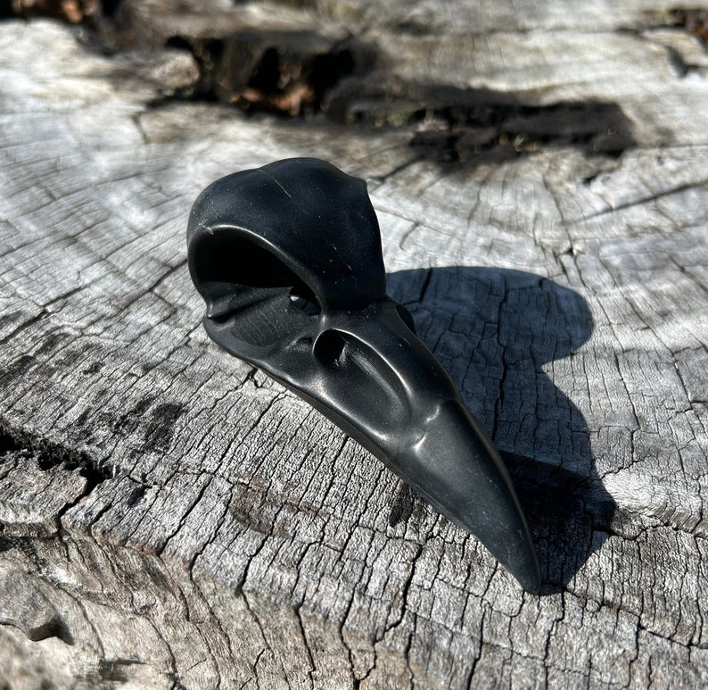 Large Obsidian Raven Skull, Halloween Crystal Carving Bird Skull ...
