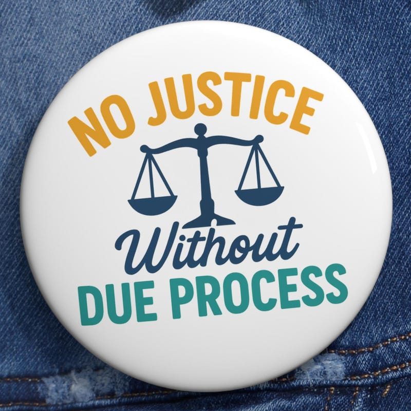 Due Process Protest Sign - Etsy