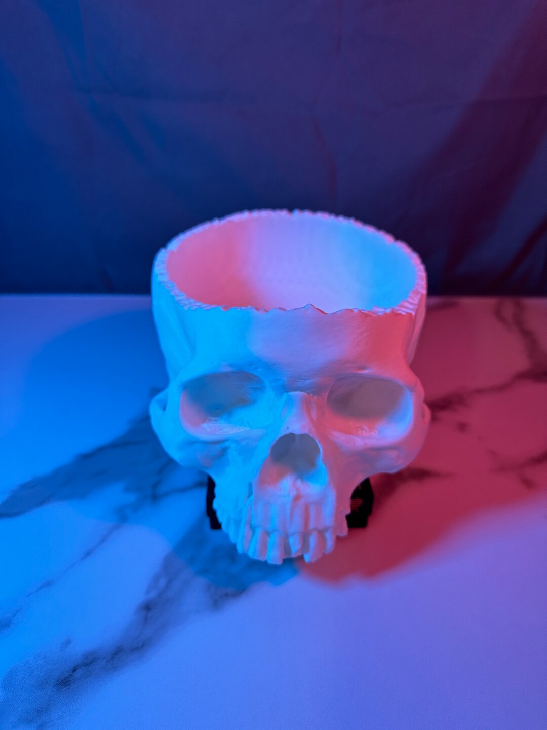 Realistic Skeleton Skull Bowl / Planter Halloween Decoration - Etsy