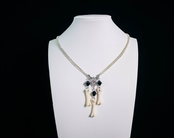 REAL Coyote Toe Bone Necklace - Etsy