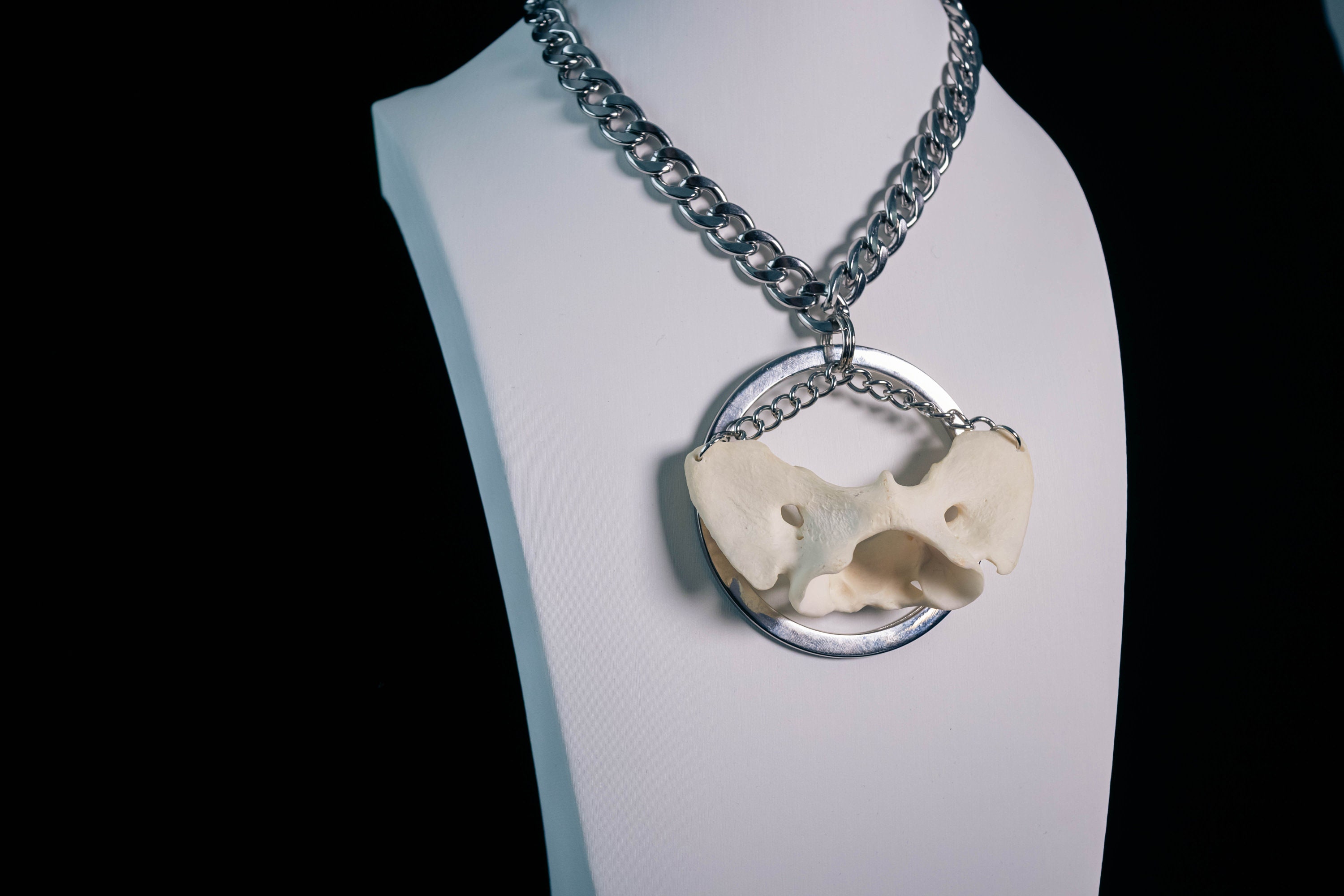 ASHTON Brutalist Industrial Real Coyote Atlas Bone Necklace Chain - Etsy