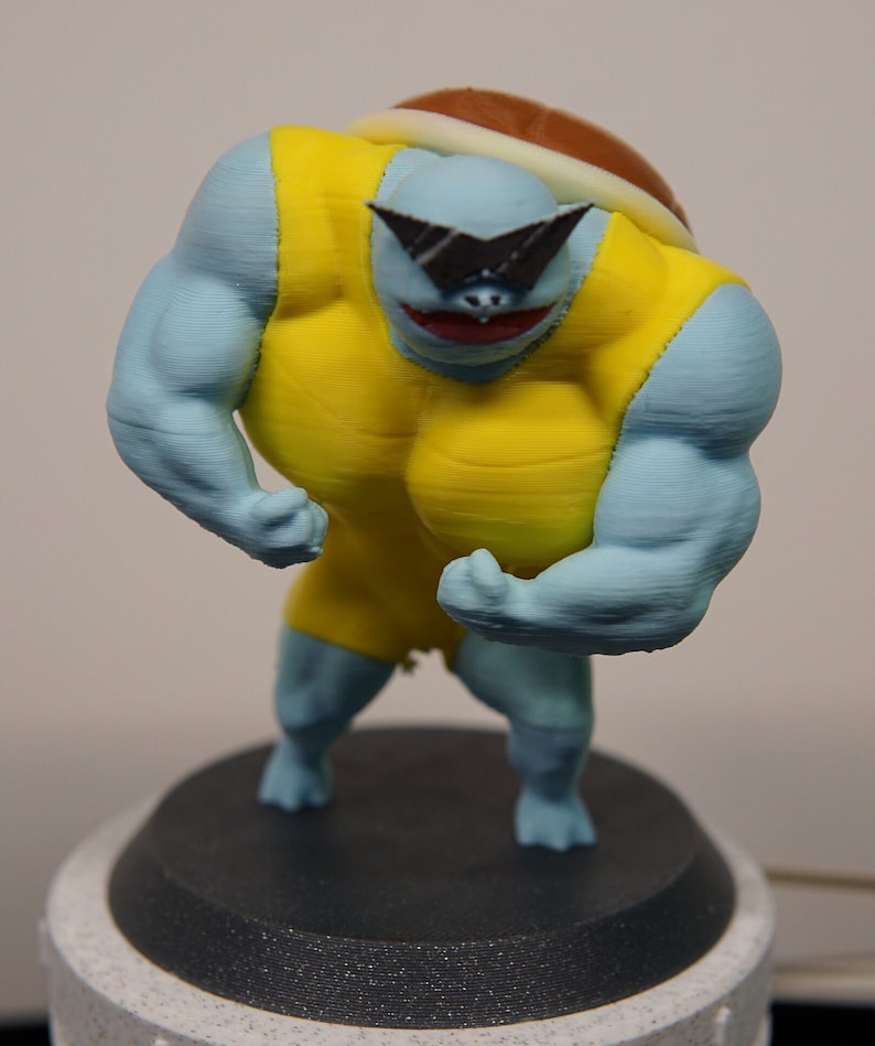 Squirtle but Swole and Buff 3D Printed Figure - Etsy Australia