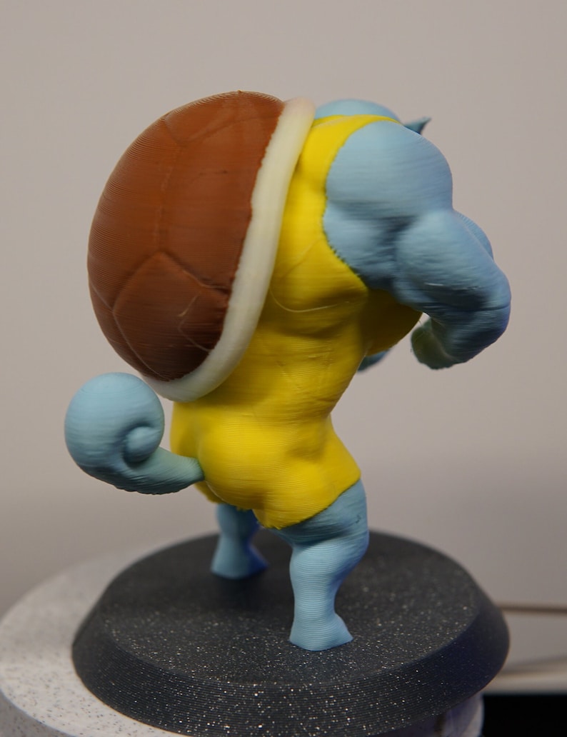 Squirtle but Swole and Buff 3D Printed Figure - Etsy