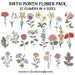 MEGA Bundle - 22 Flowers - Birth Month Florals - 4 Sizes - Modern Cute ...