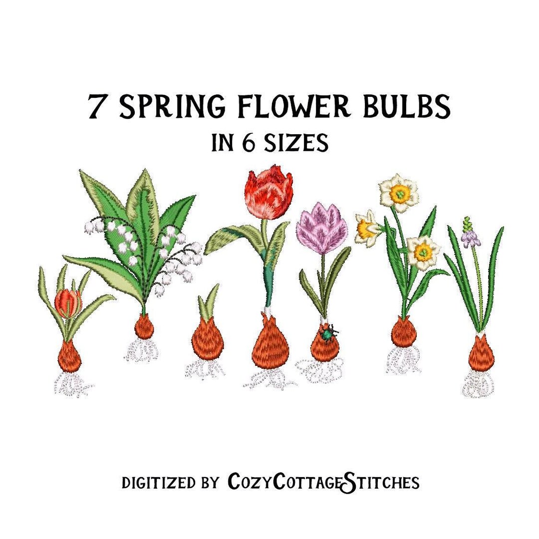 Spring Flowering Bulbs. Embroidery Files. 6 Sizes. Crocus Hyacinth ...