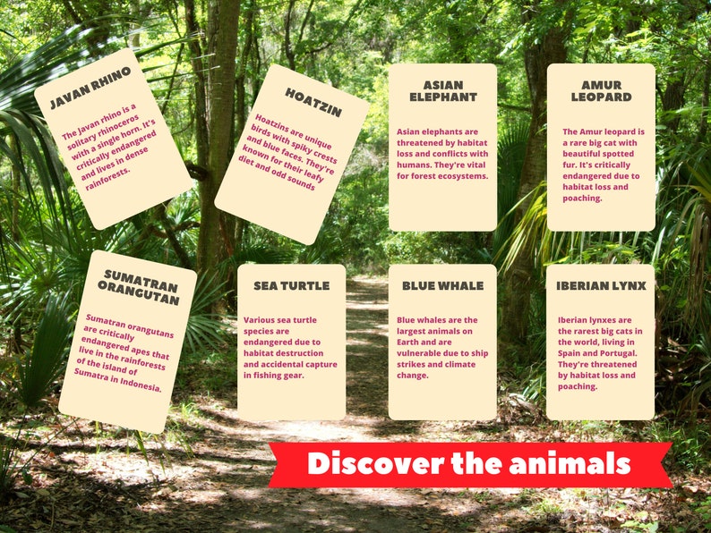 ENDANGERED ANIMALS 24 Printable Montessori Cards Flash Cards ...