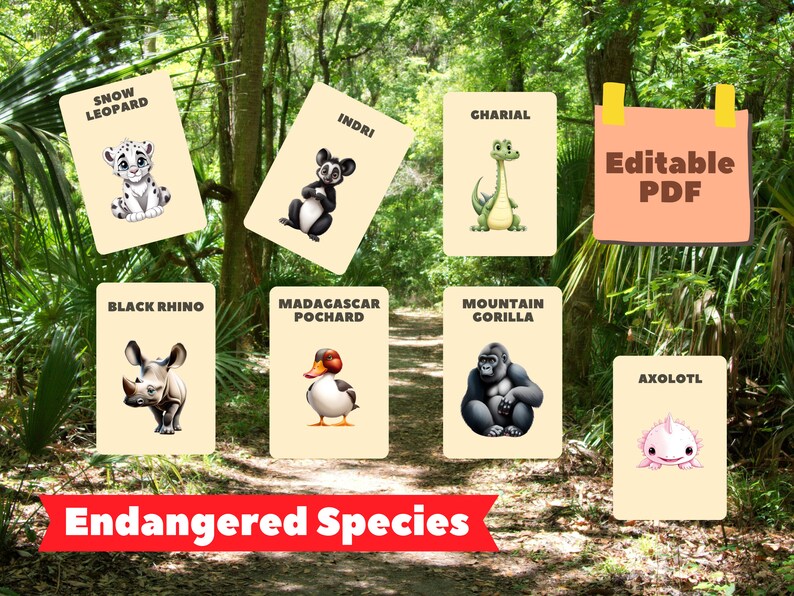 ENDANGERED ANIMALS 24 Printable Montessori Cards Flash Cards ...
