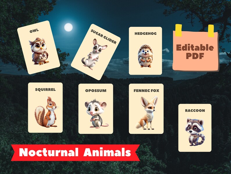 NOCTURNAL ANIMALS 24 Printable Montessori Cards Flash - Etsy