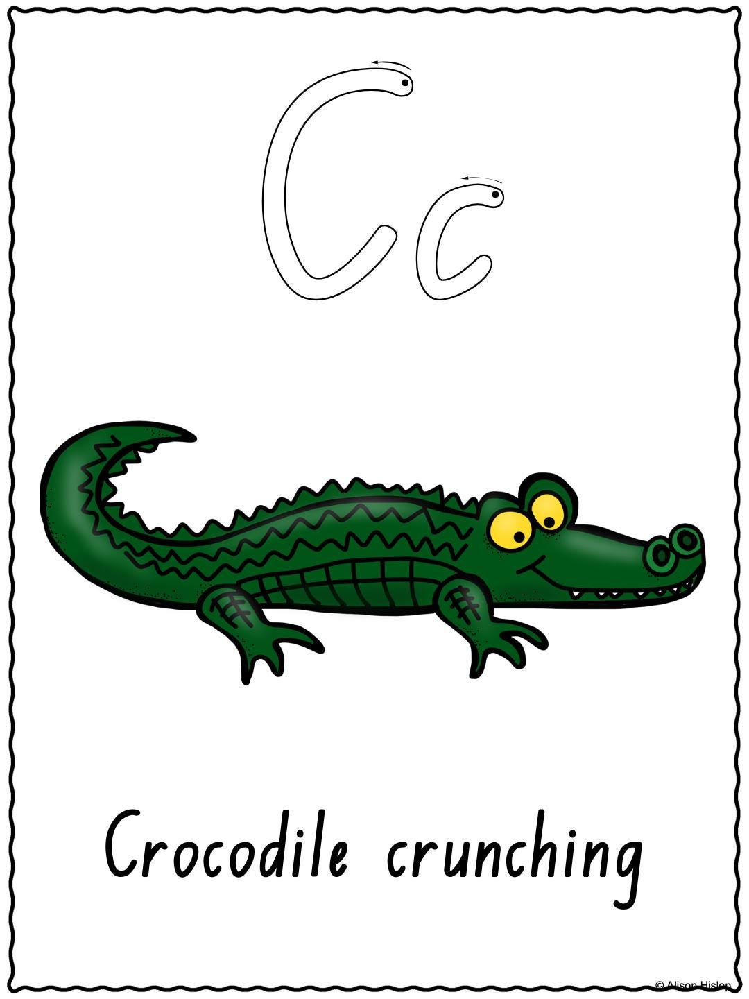 Ants in the Apple Alphabet Posters & Flashcards - NSW Foundation Font ...