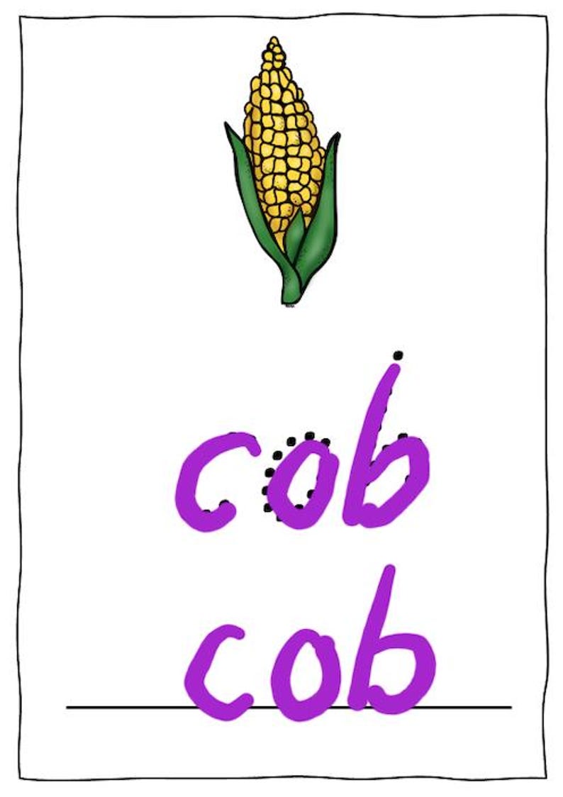 Handwriting Practice Cards - CVC Words Write & Wipe - QLD Font ...