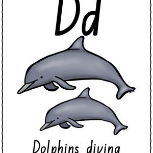 Ants in the Apple Alphabet Posters & Flashcards - NSW Foundation Font ...