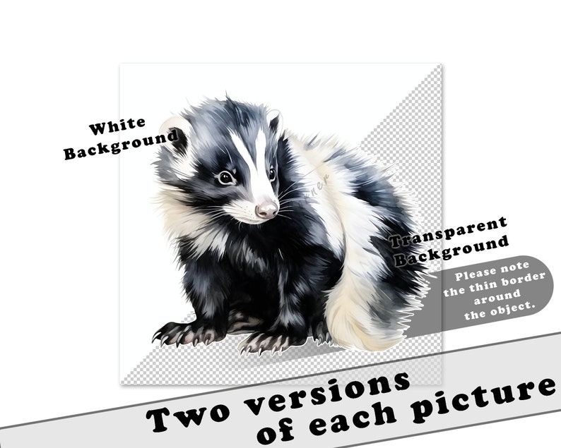 12 Skunk Clipart PNG Forest Animal Bundle | Watercolor Skunk Clipart ...