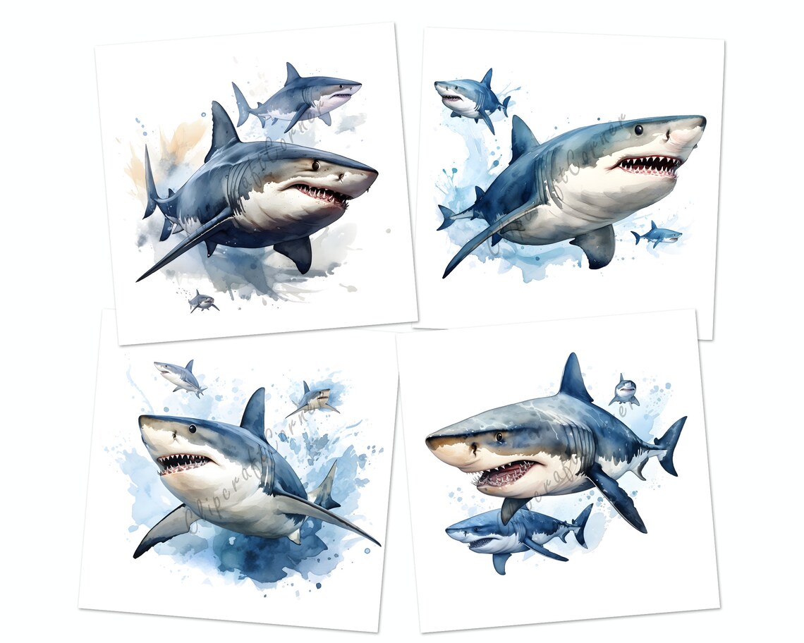 12 Shark Clipart PNG Bundle Watercolor Sea Animals Clipart PNG Ocean ...