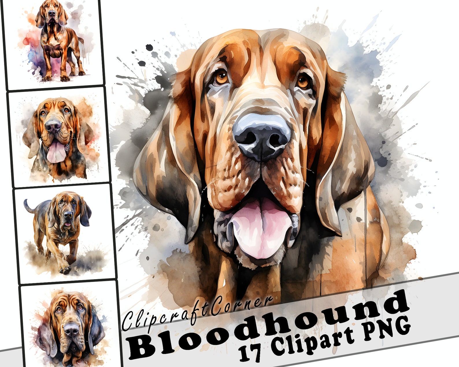17 Bloodhound Clipart PNG Bundle Watercolor Dog Clipart PNG 23 - Etsy
