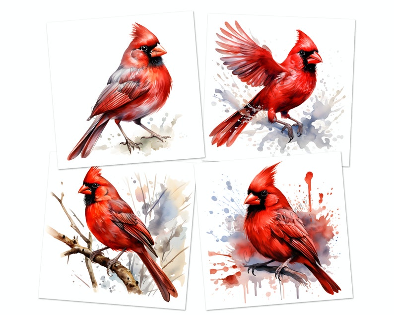 12 Red Cardinal Clipart PNG Art Bundle | Watercolor Bird Clipart PNG ...